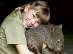 Bindi, Jungle Girl: wombats