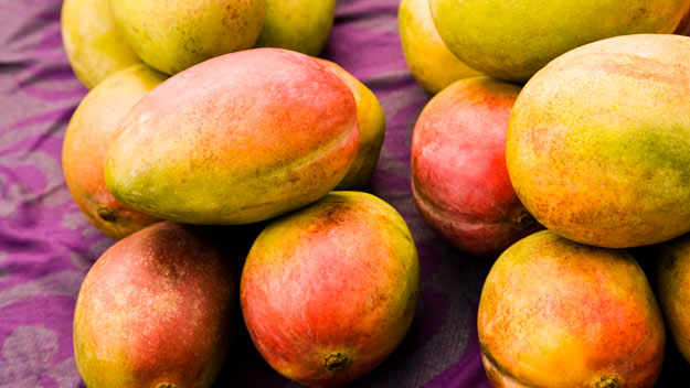 Magnificent mangoes