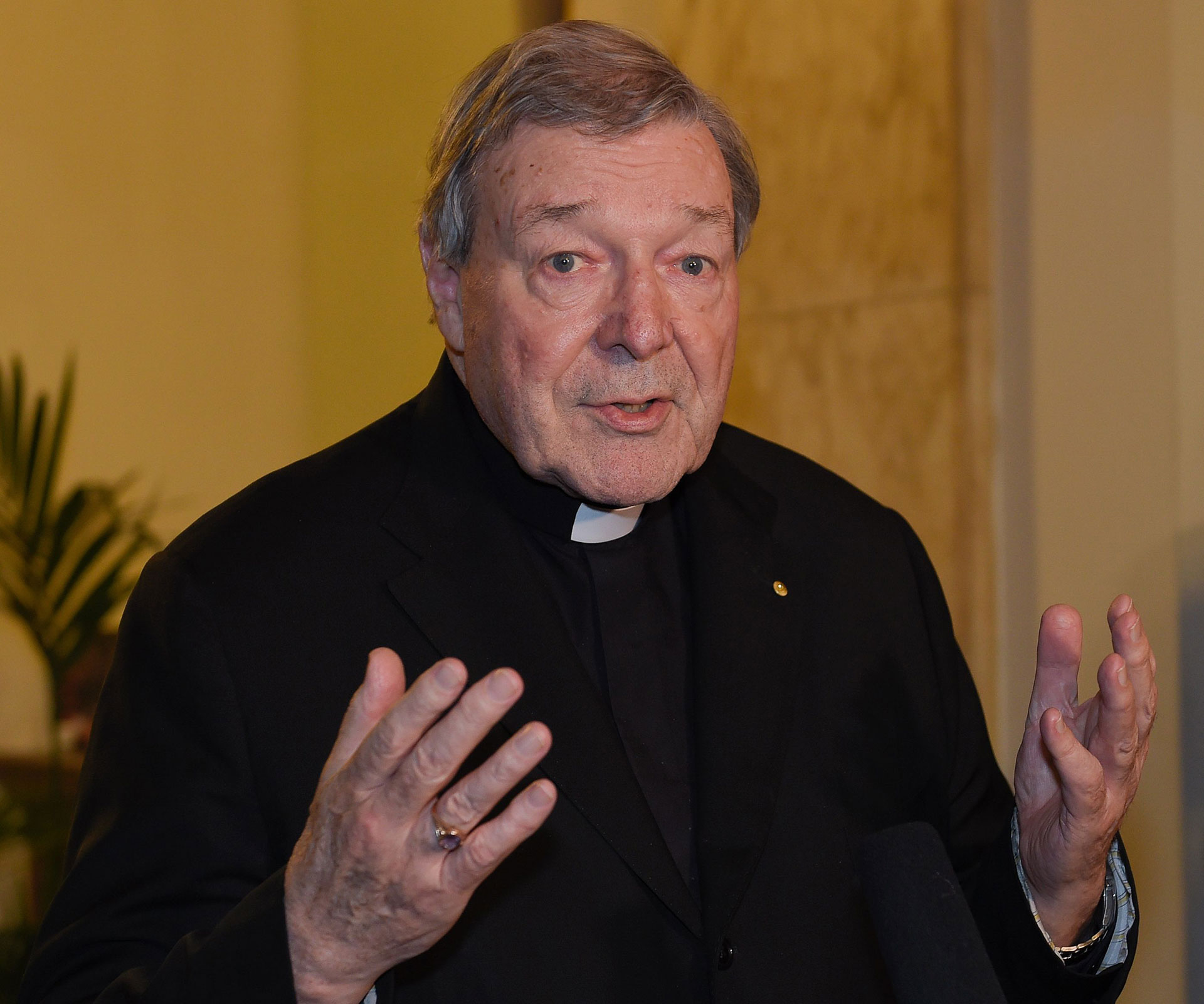 ‘Poor’ Pell’s ‘hard slog’ makes mockery of victims
