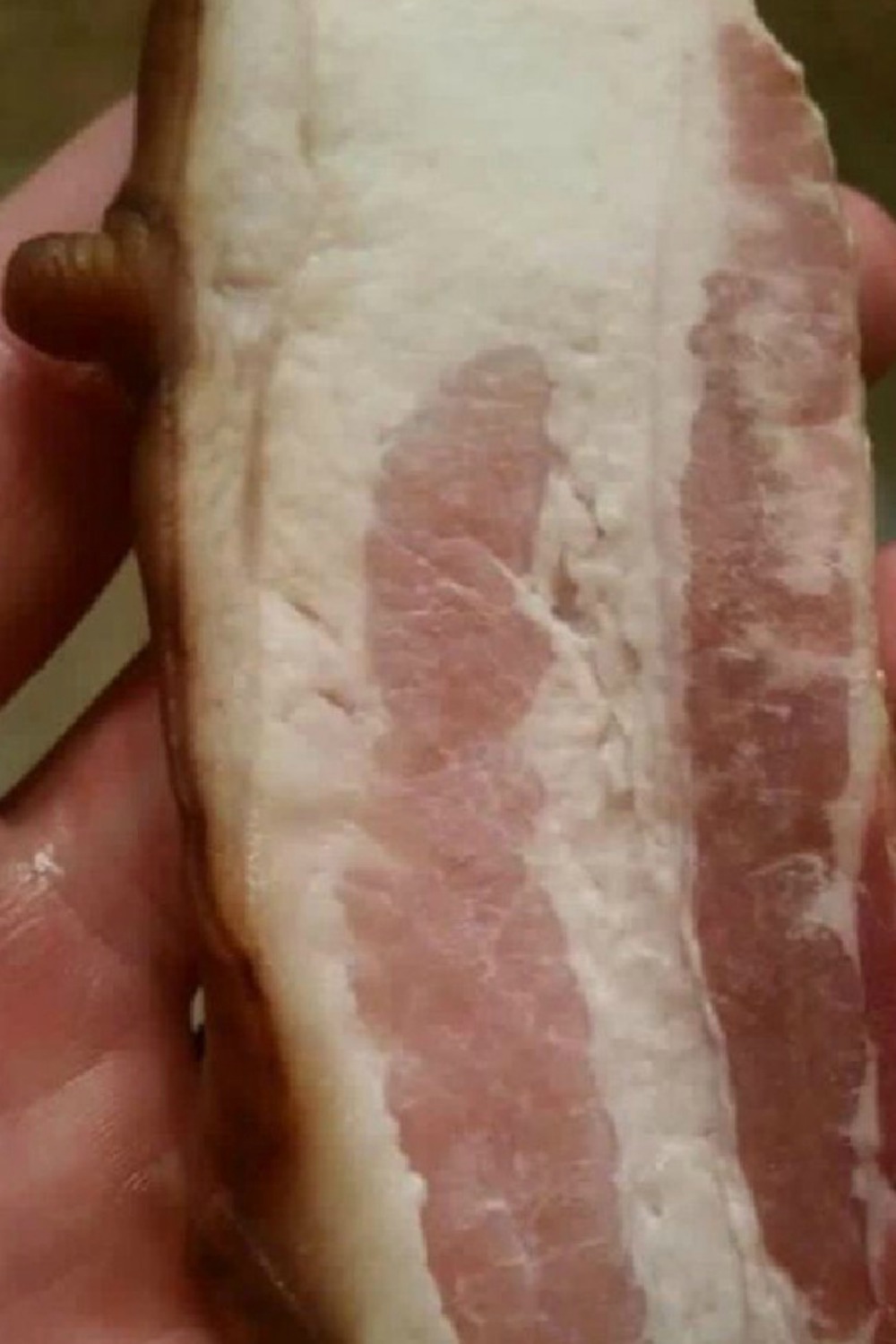 This picture of bacon is turning many off the meat for life