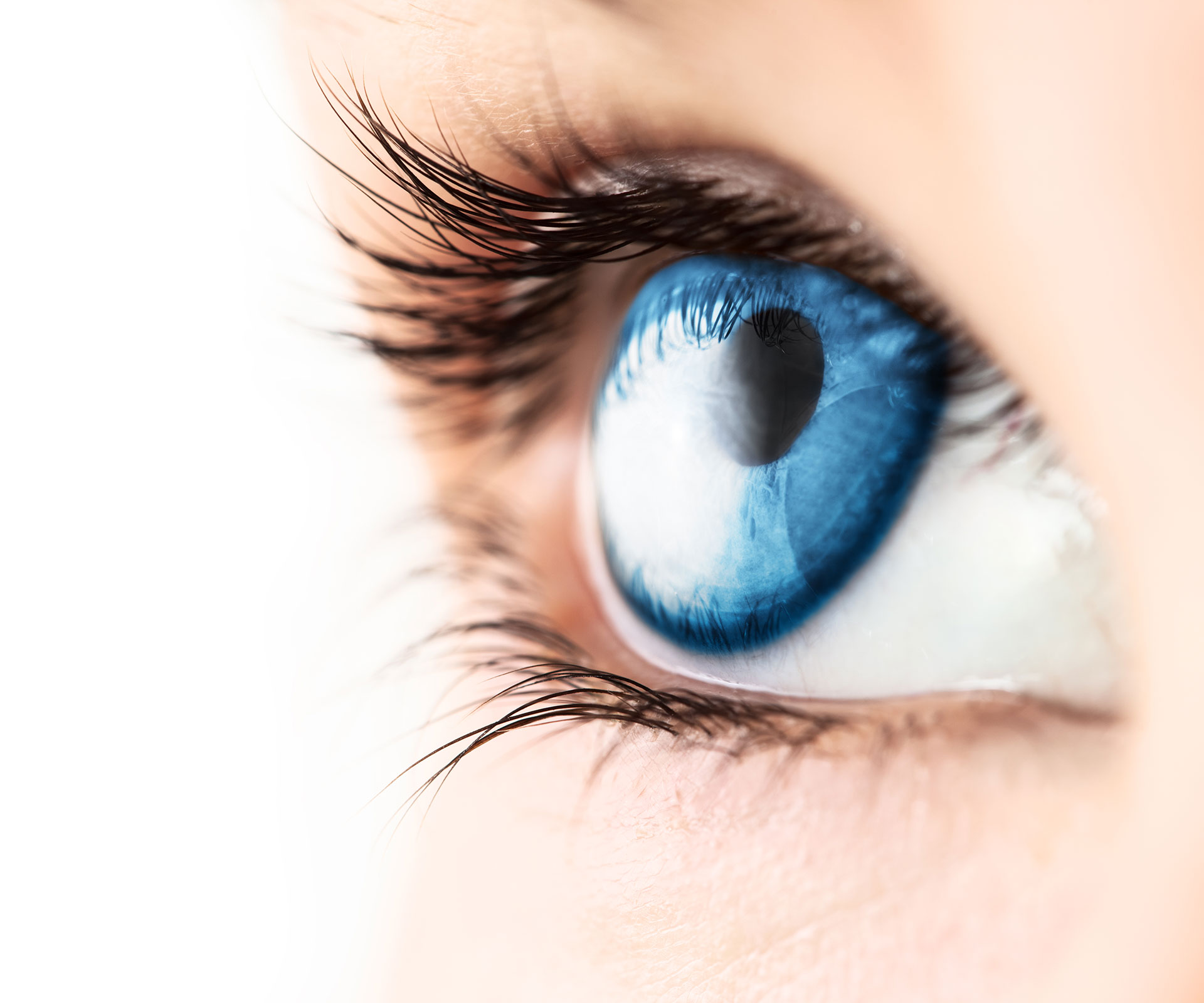 All blue-eyed people have this in common