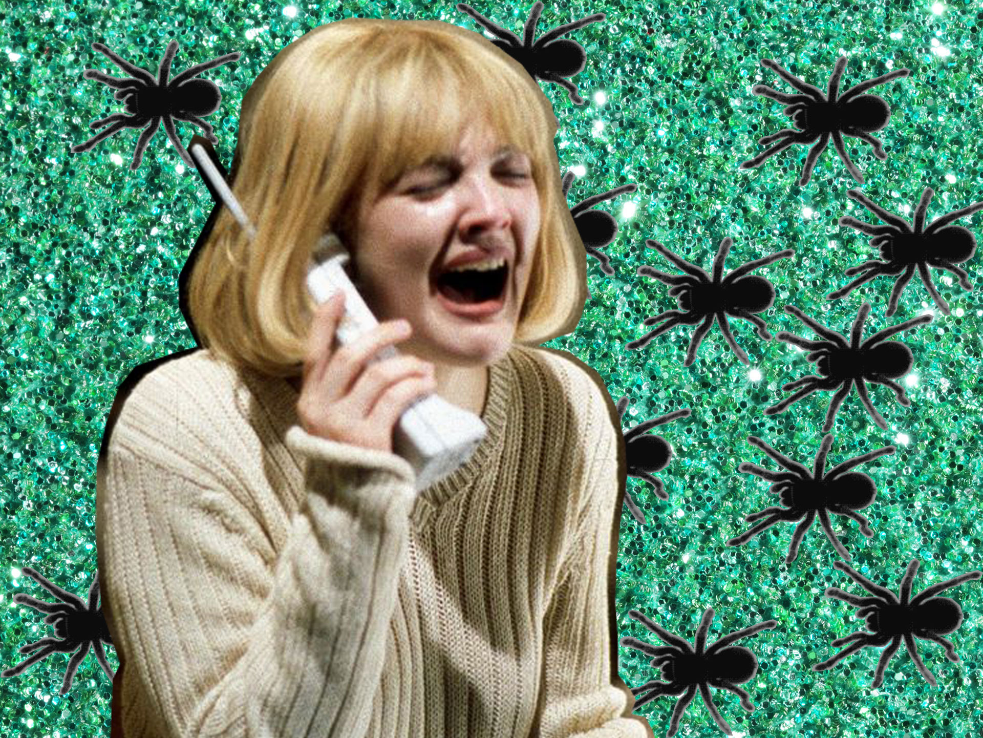 A spider plague is coming