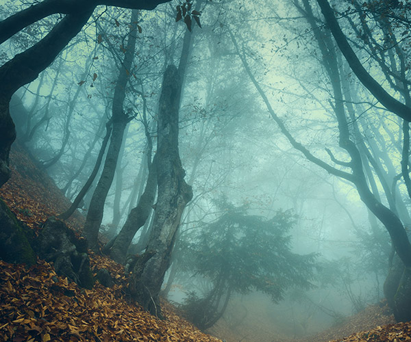 Australia's best ghost hunters share their scariest experiences