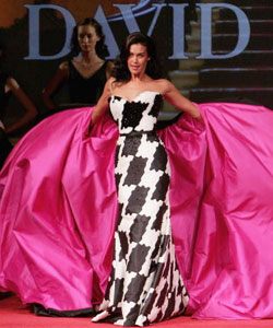 Megan Gale's super career