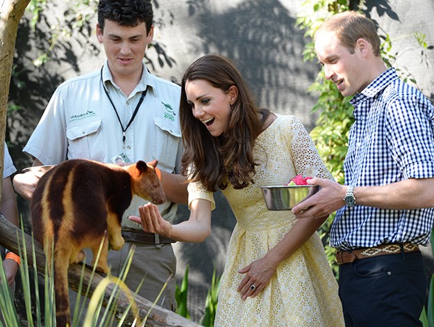 Celebs with Australian animals