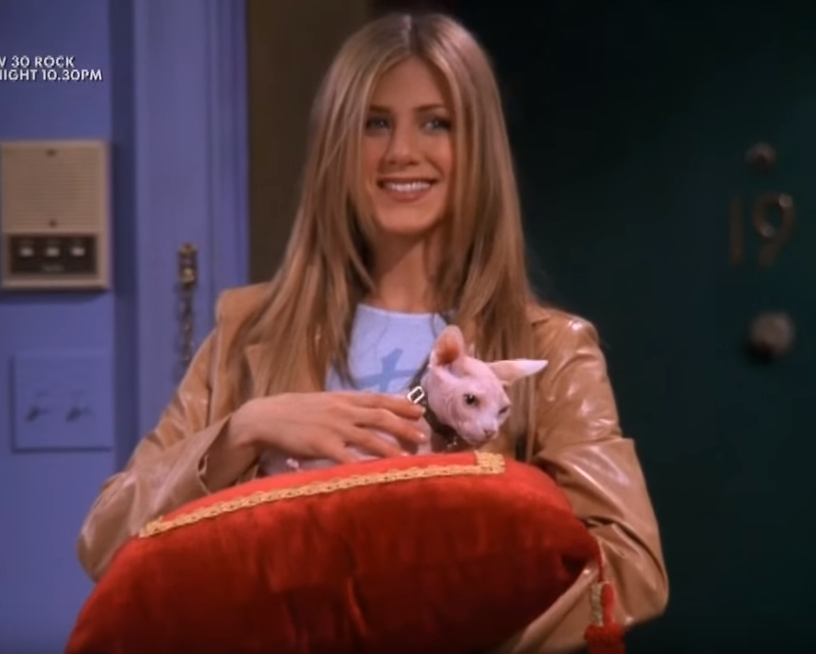 Jennifer Aniston reveals her feelings about Friends