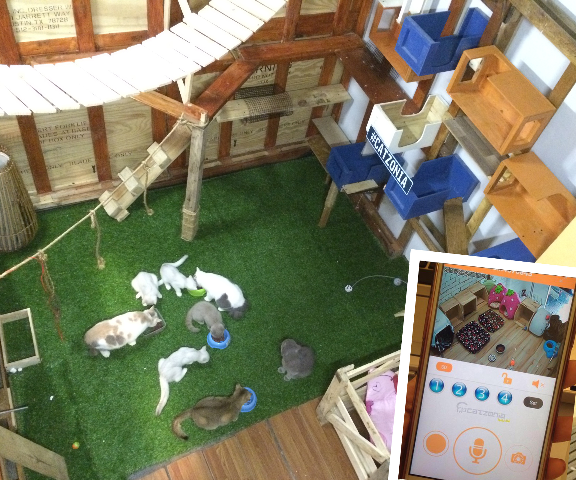 Luxury pet hotels around the world