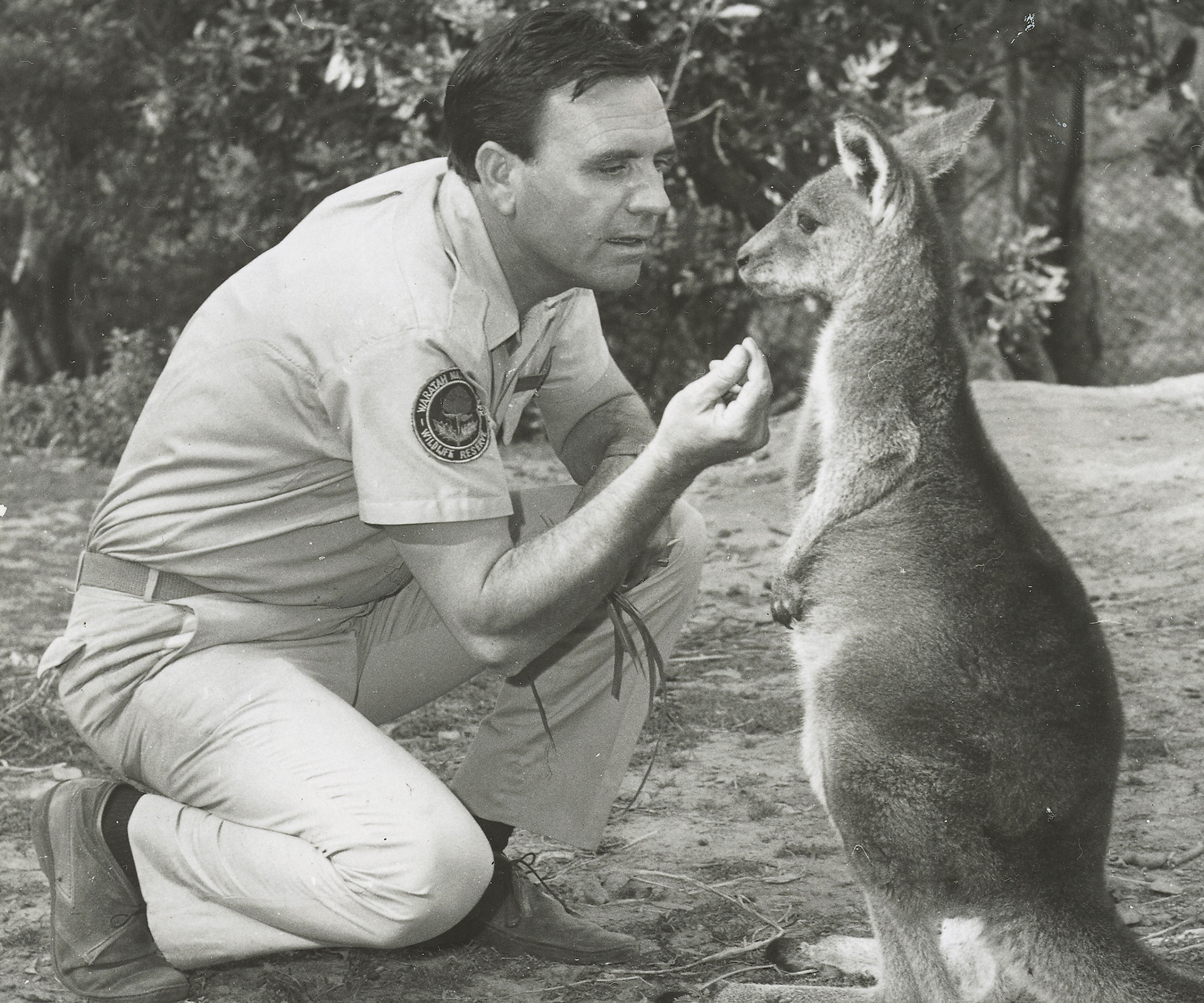 The most memorable Aussie TV dads