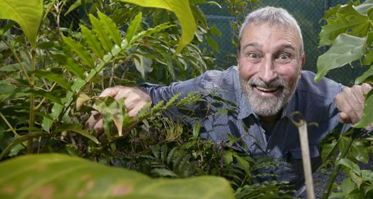 Who is Don Burke and where is he now?