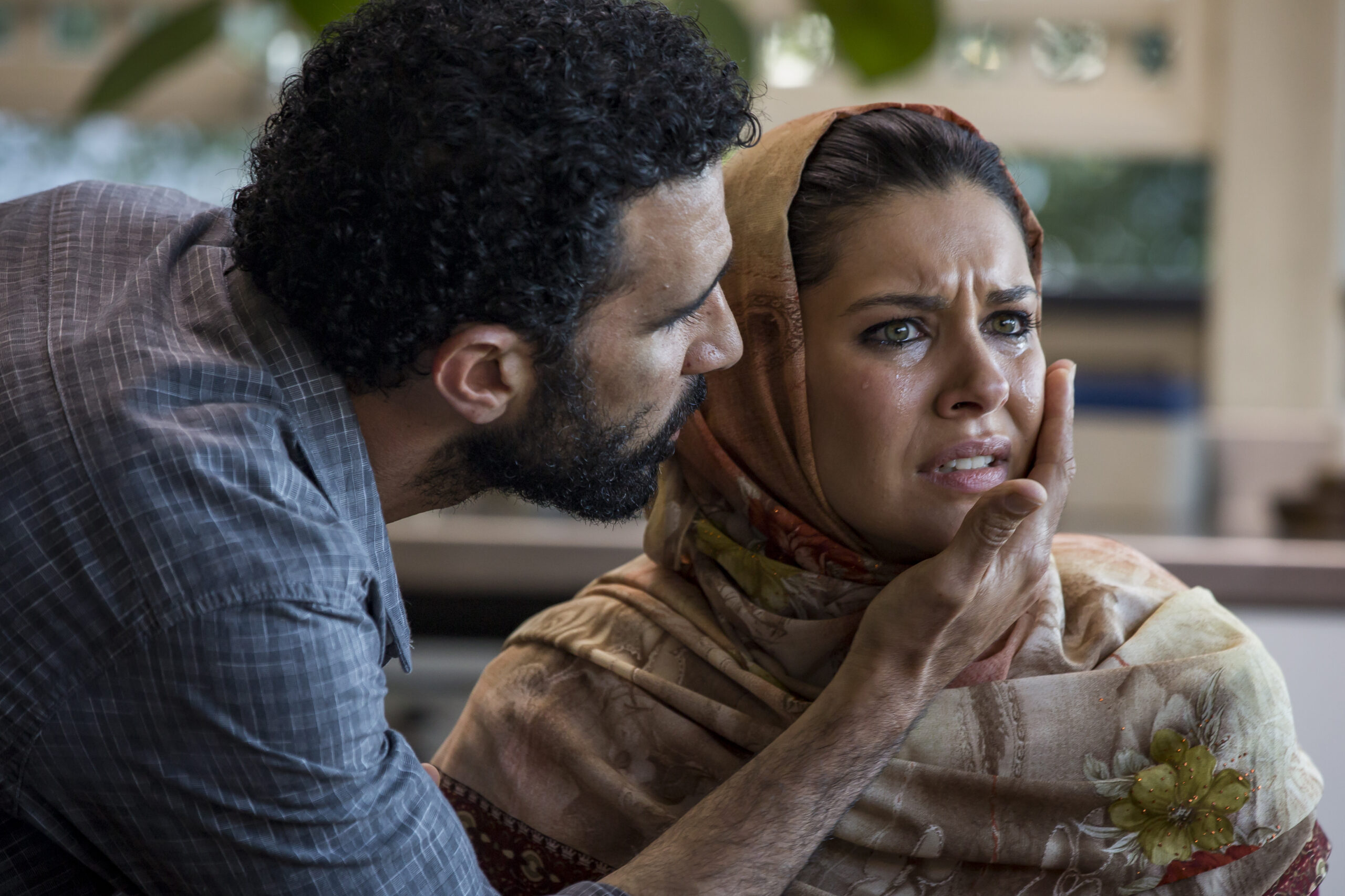 Everything you need to know about Safe Harbour on SBS