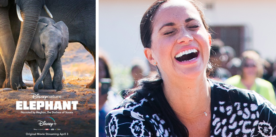 Where to watch Disney documentary Elephant in Australia