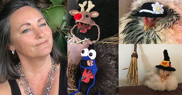 Hooked on chooks: You HAVE to see these clucking gorgeous knitted ...